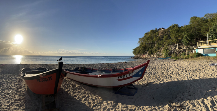 Latin Creation Designs